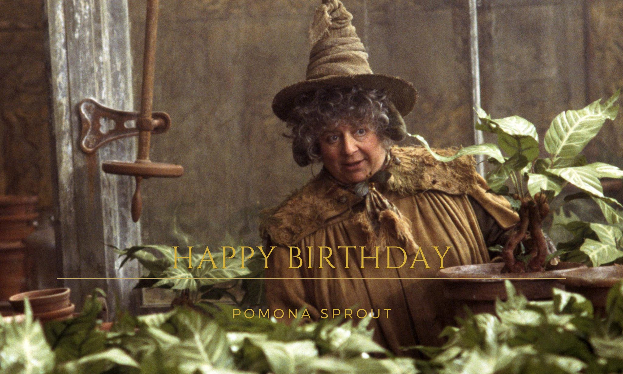 Professor Sprout Hat