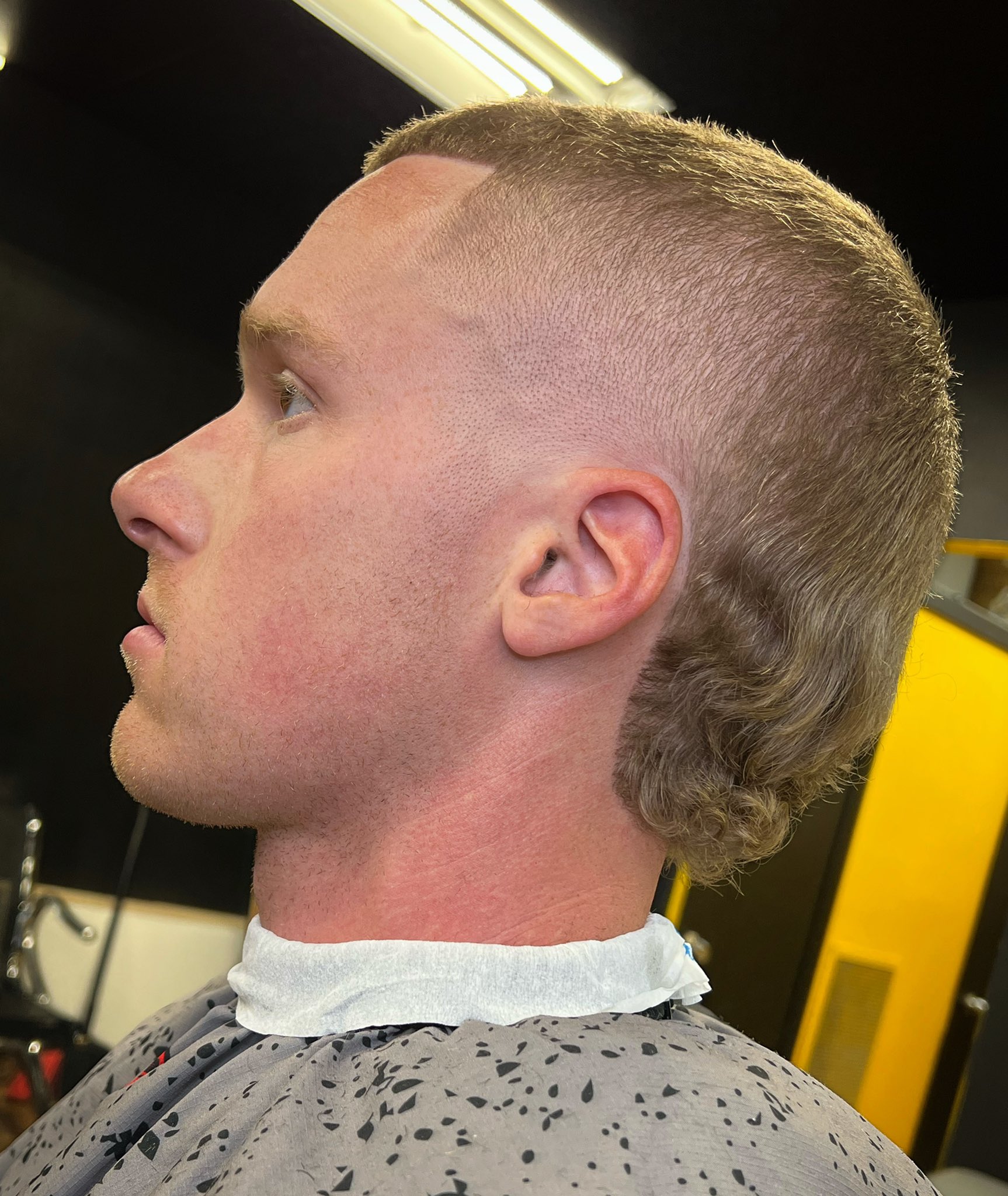 Mullet Fade Haircut