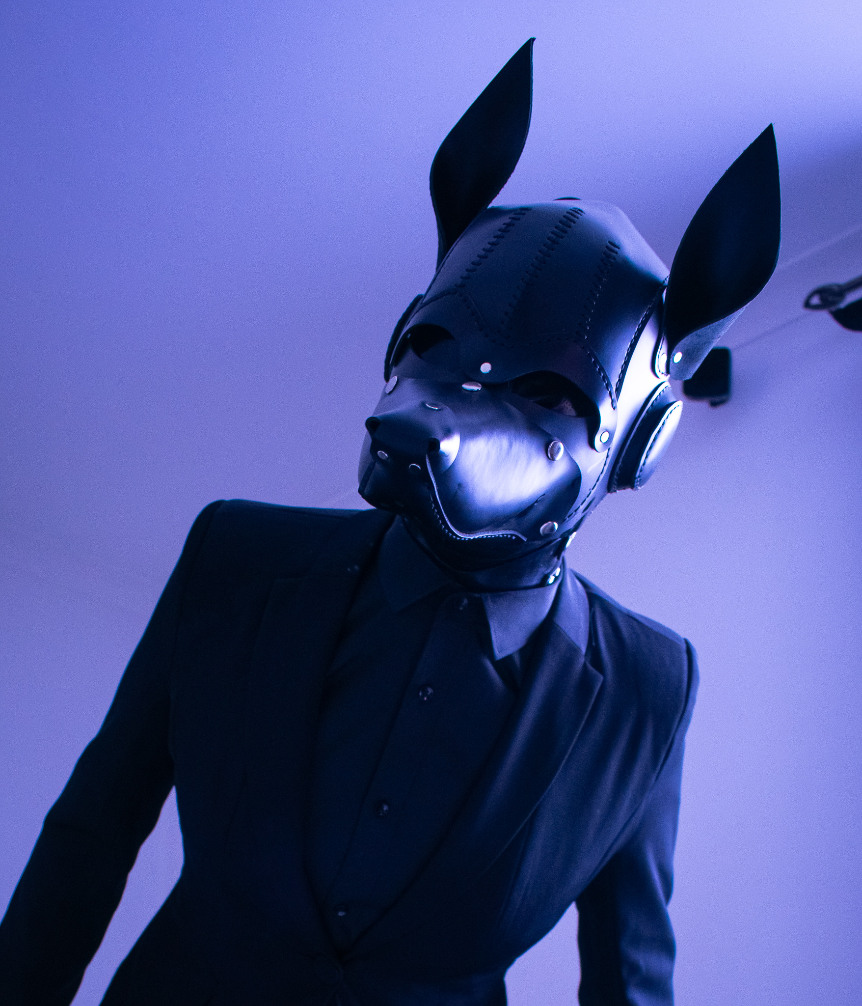 TW Pornstars - 2 pic. H Ξ X - HexCorp Dronification Hive Mxtress ⬡-0006 ...