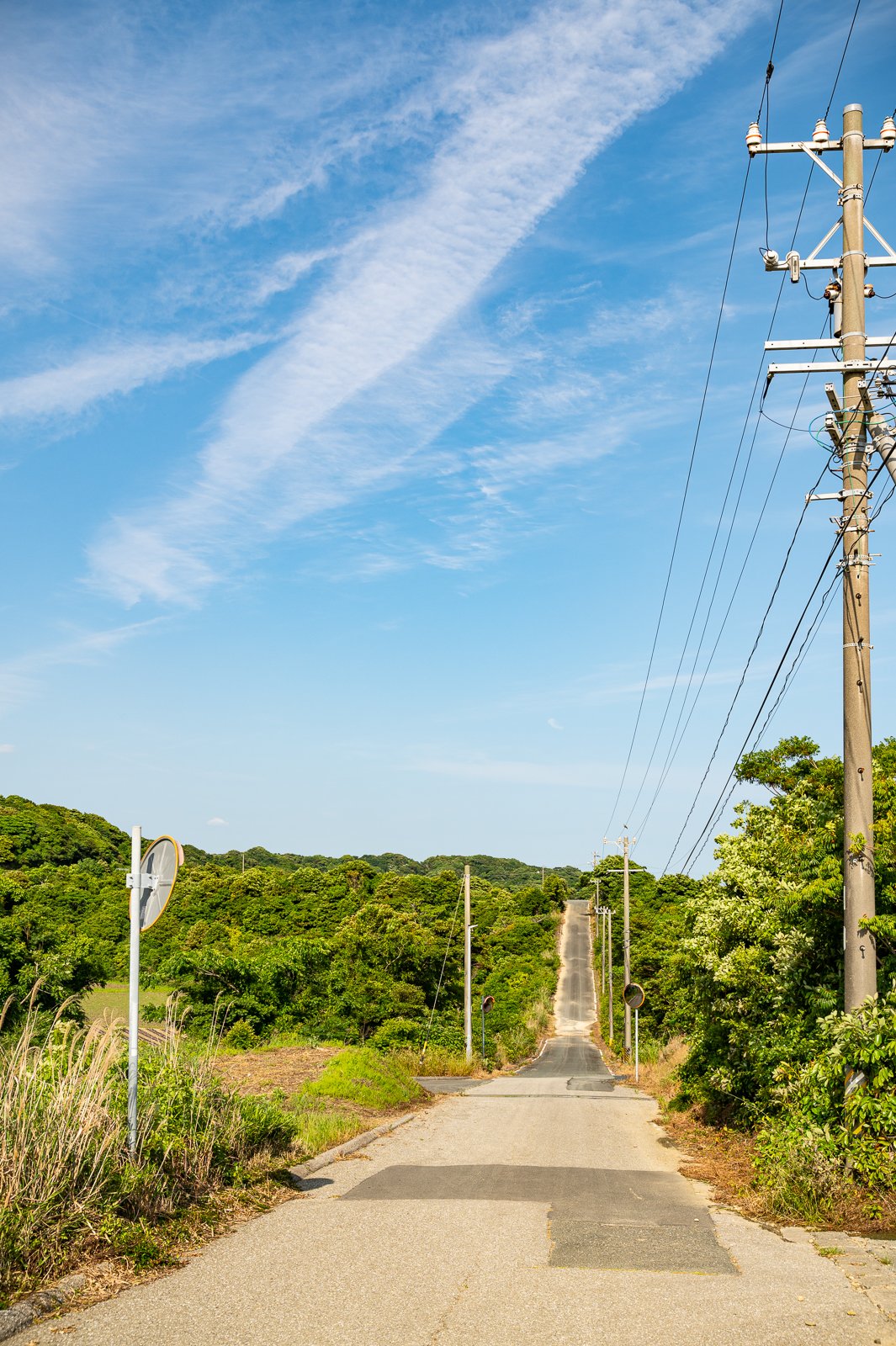 dokubutu on Twitter: "季節が 登ってゆく。 https://t.co/4HLN8e1lNh" / Twitter
