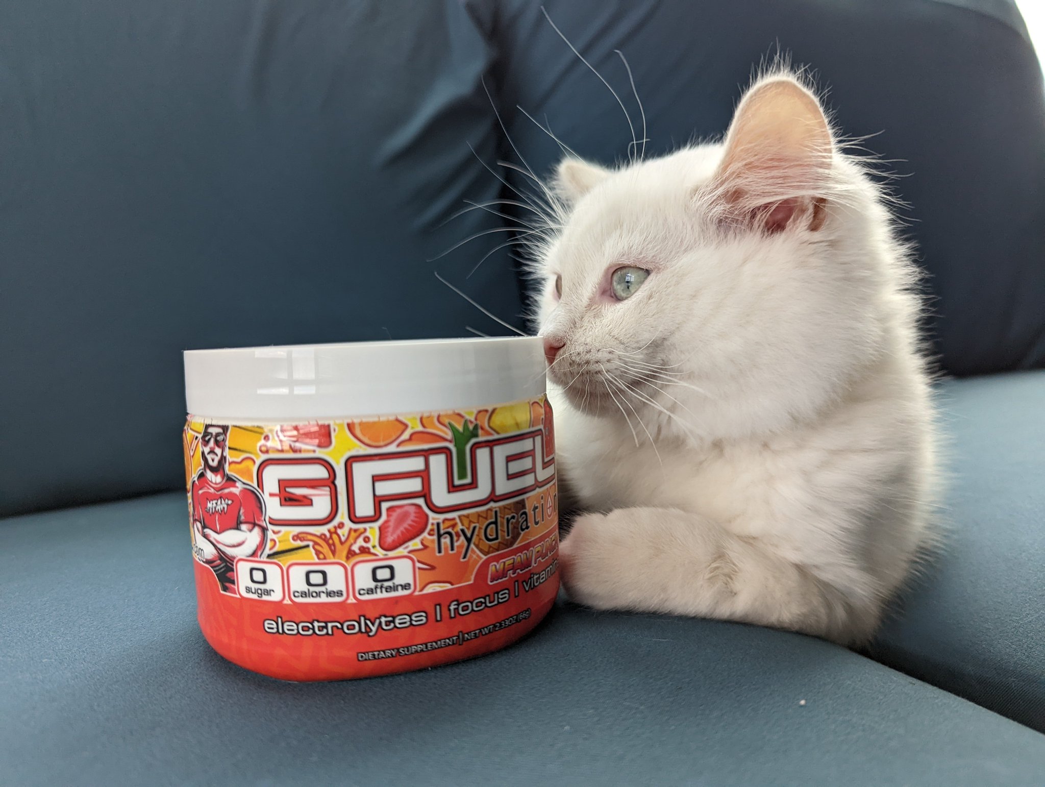 Enviosity on Twitter: "HUGE BOGO sale going until the 31st! Be smart like Fufu and use code ...