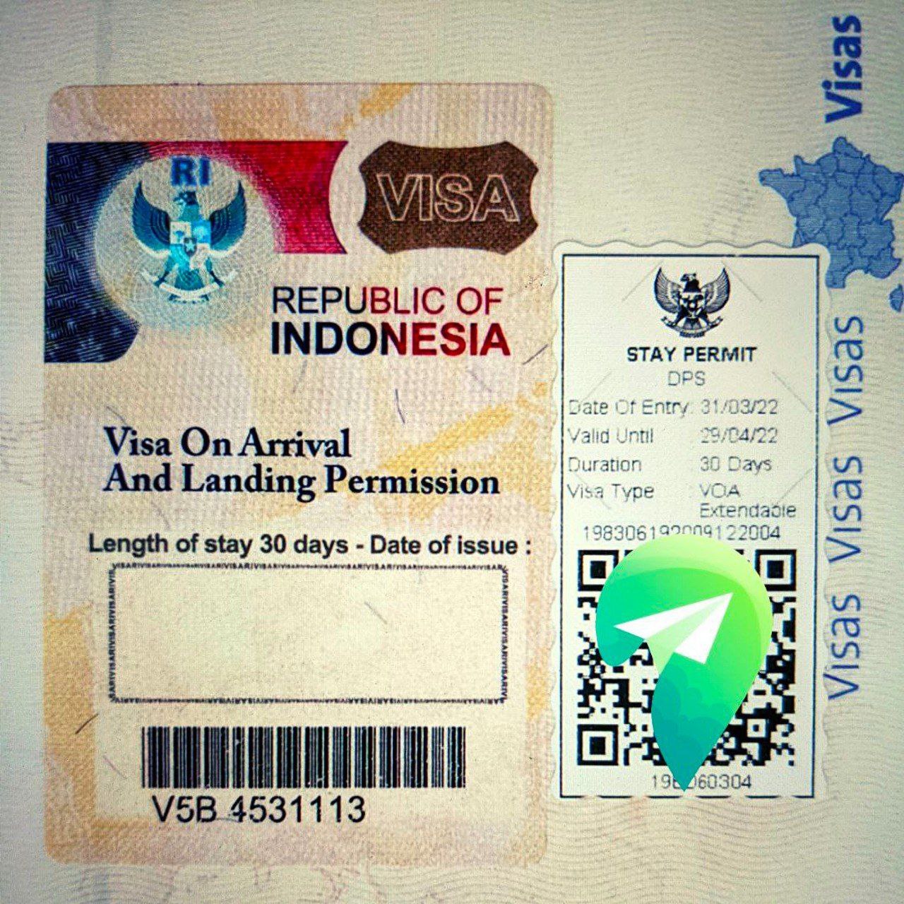 Visa Dps Logo