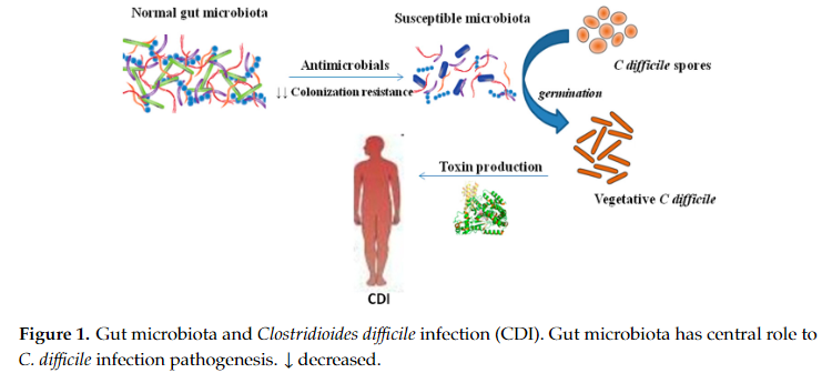 1/ 🧵 Clostridioides difficile (C. Diff) colitis is exceedingly rare in ...