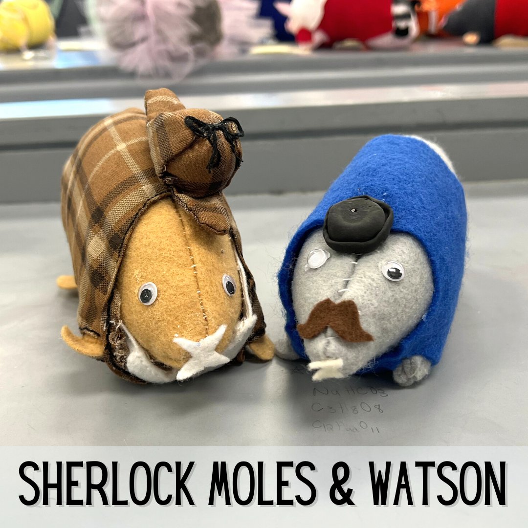 Stuffed Mole Chemistry Project