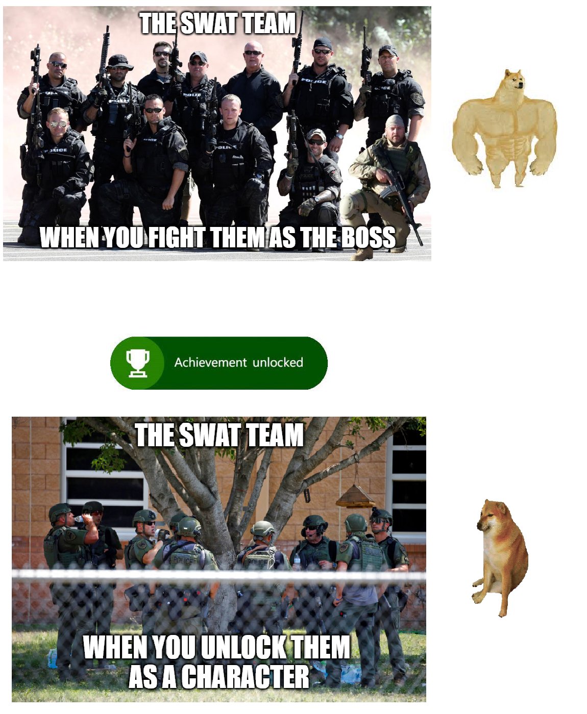 Swat Team Meme 21 Animals That Have No Respect For Authority