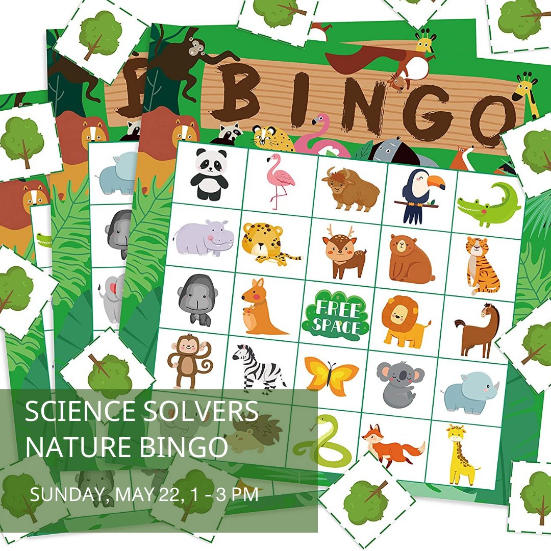 Bruce Museum on Twitter: "Science Solvers Nature Bingo, Sunday, May 22 ...