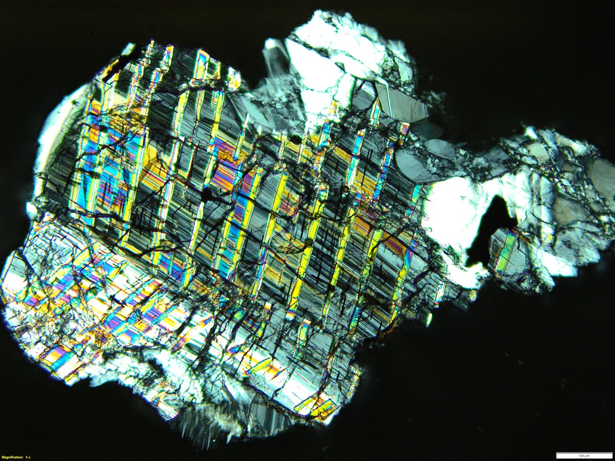 Pigeonite Thin Section