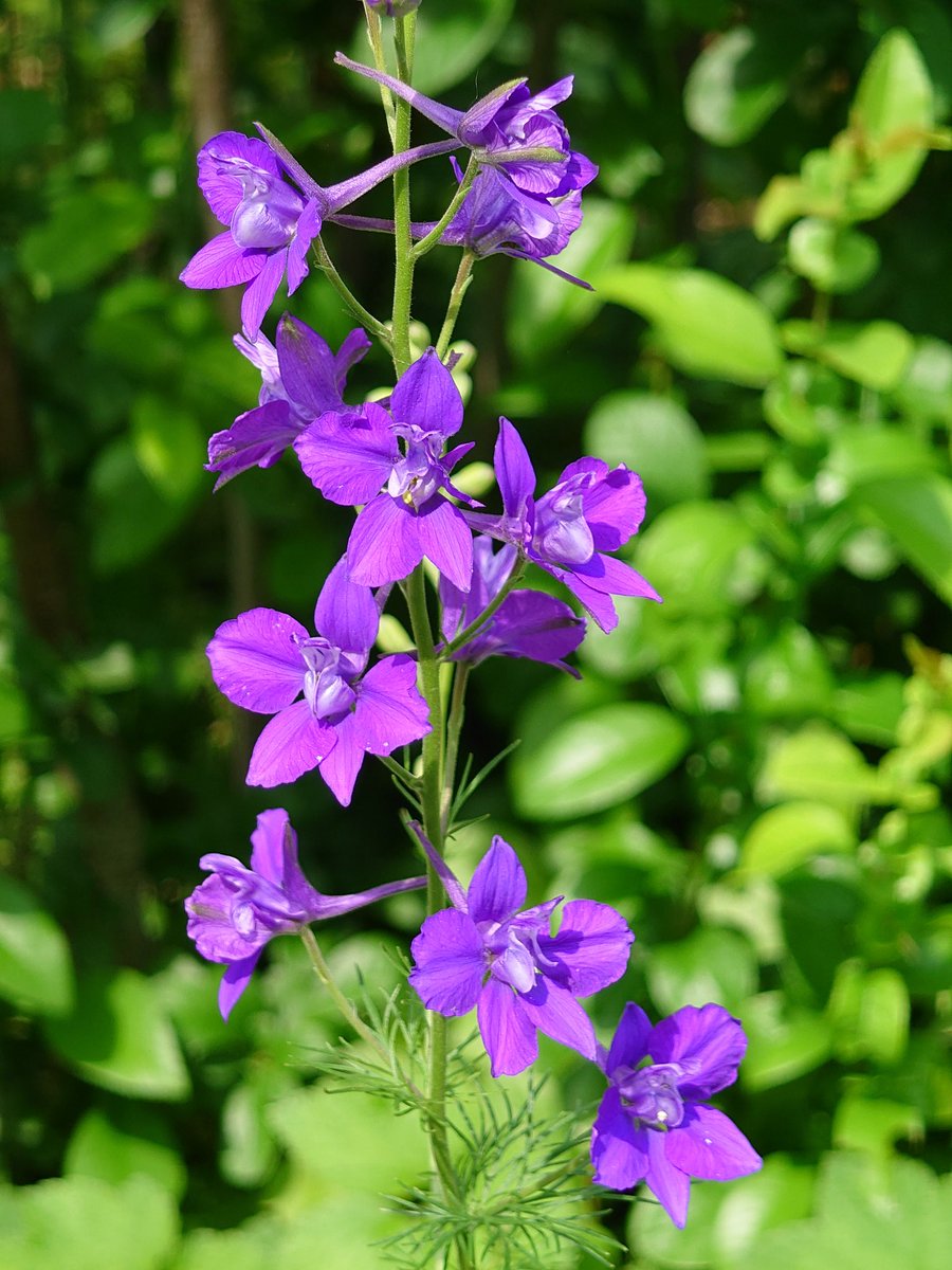 asa(@sa_ko_ko) - Twilog (ツイログ)