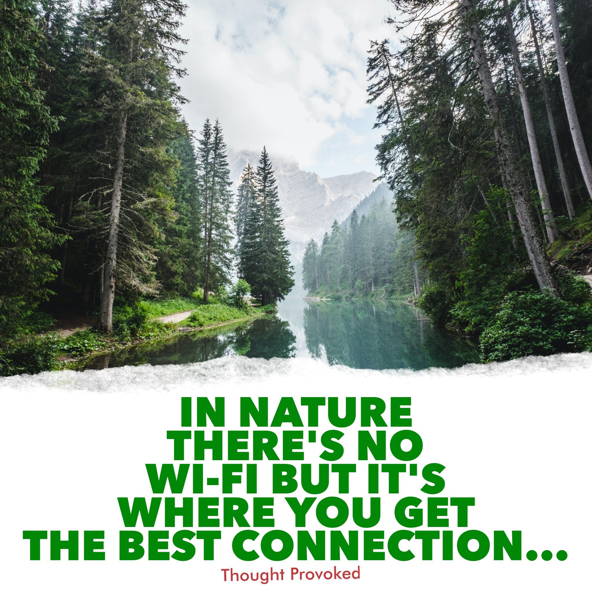 Nature And Connection Quotes