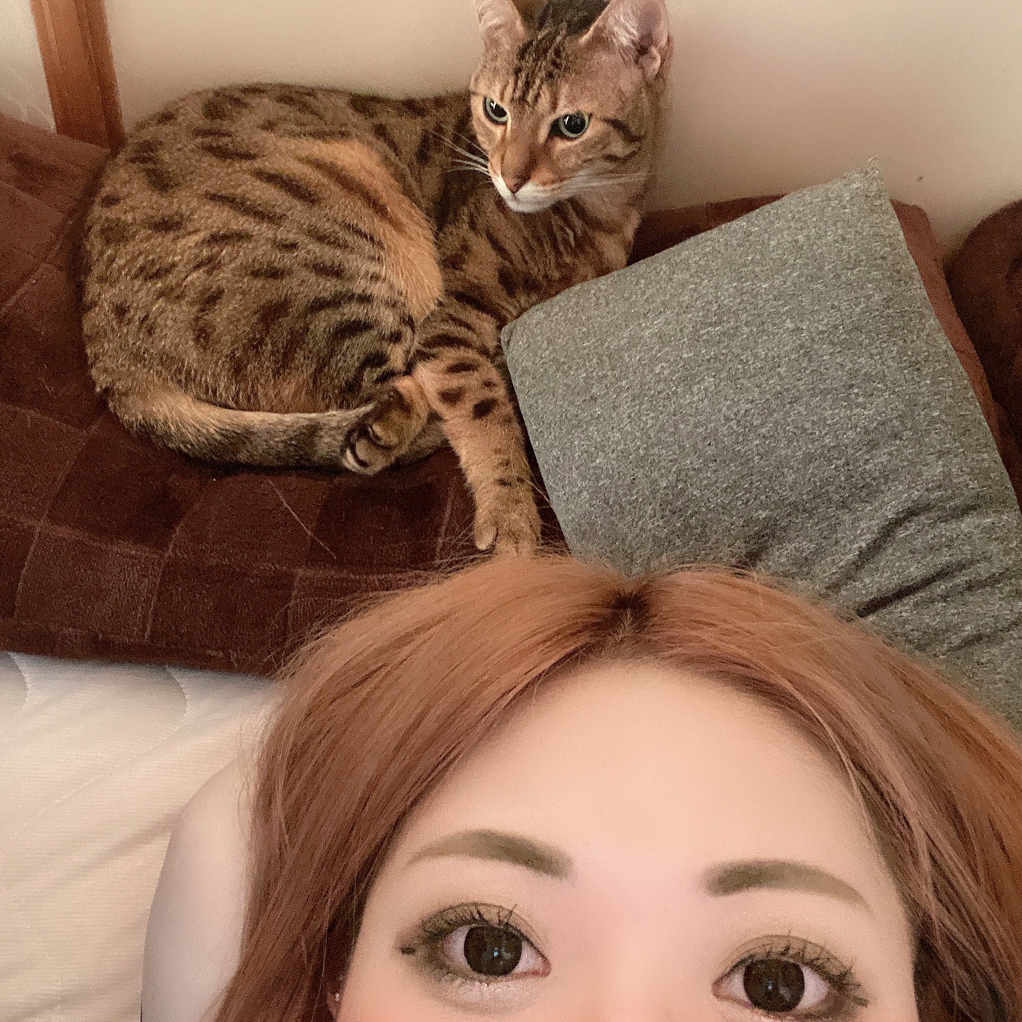 まーこ ツイッター: twitch マゴ – QBPSBG