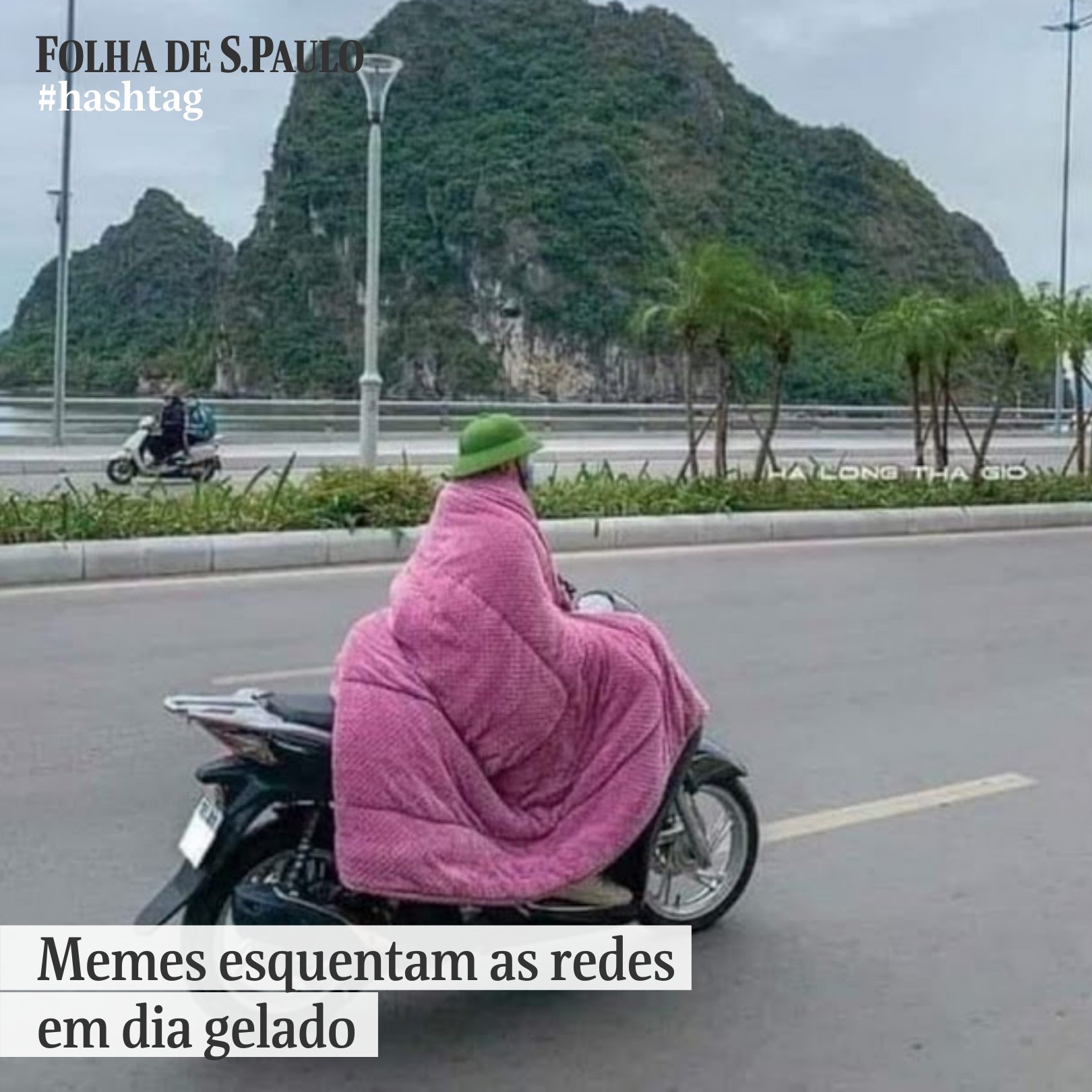 Dia De Frio Memes