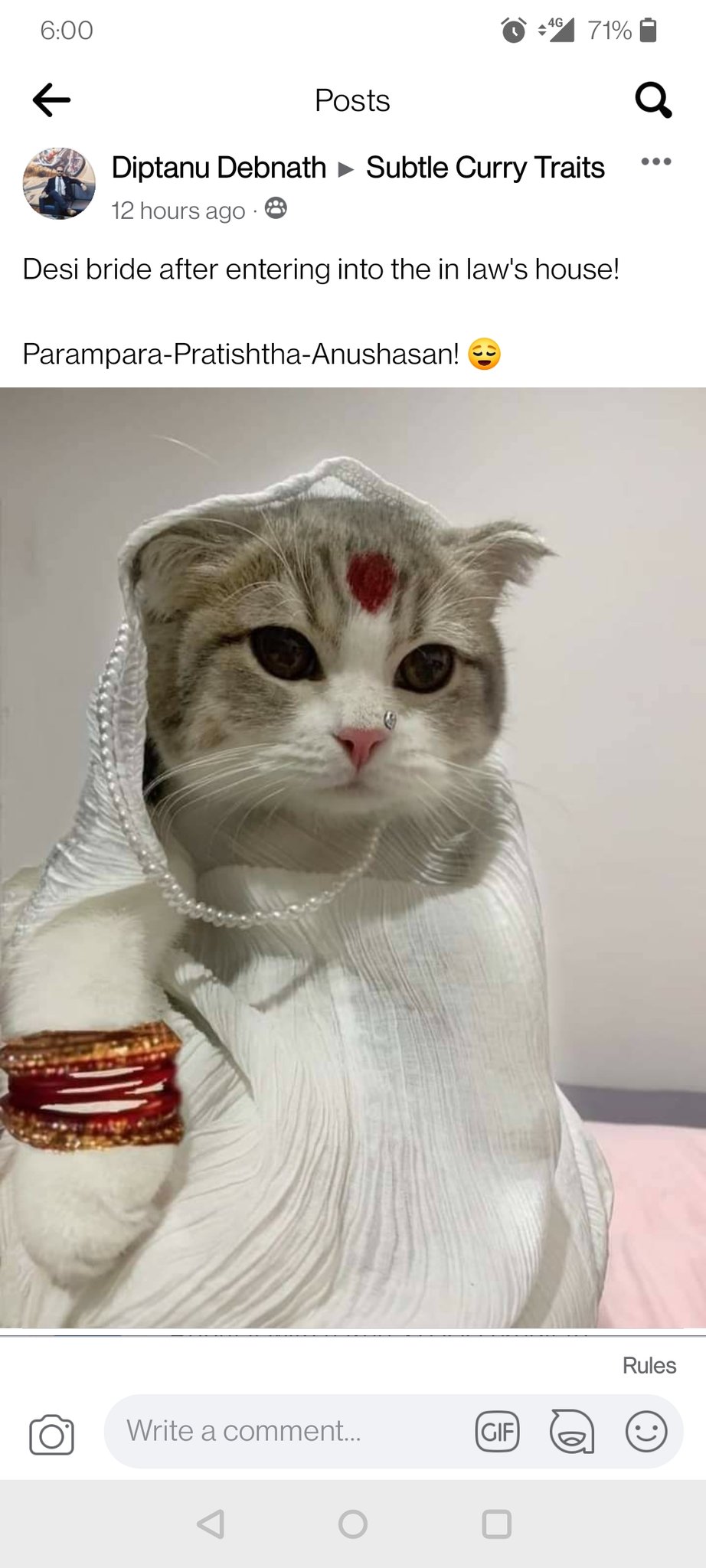 Meme Cat Saibhir Meow 😽 | Send Someone Special ♥ #cat #meow #cats