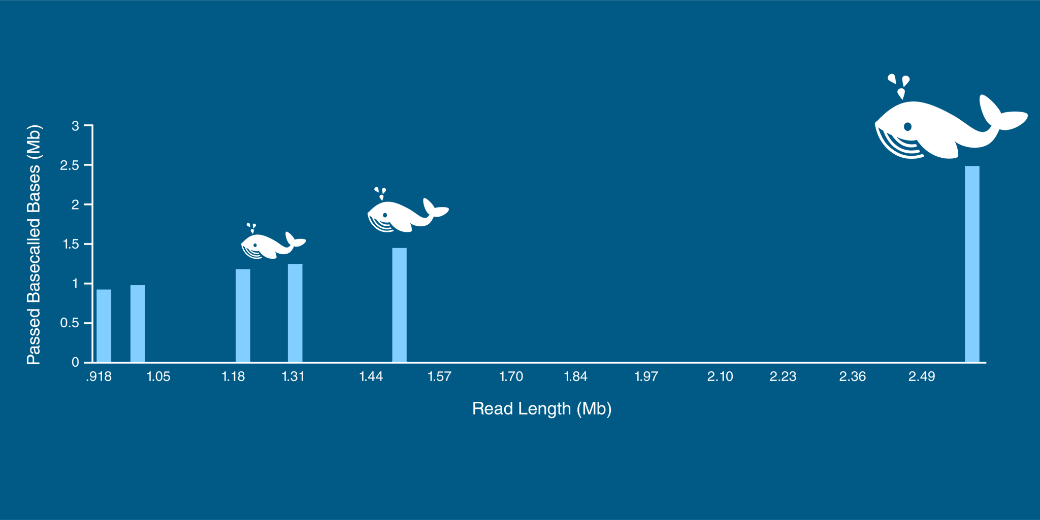 New England Biolabs On Twitter 🐳a Pod Of Whales Spotted 2 5mb 💫
