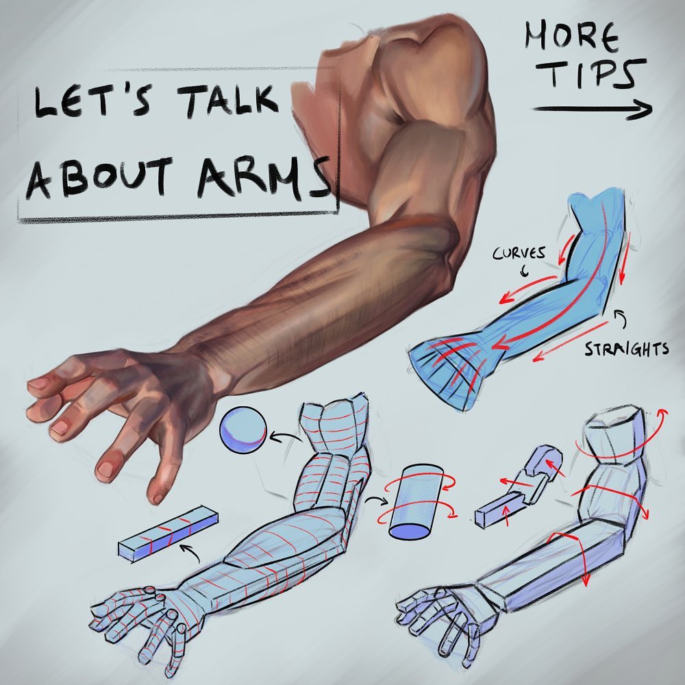 Cubebrush on Twitter: "Awesome #anatomy tips by Anastasios Savvopoulos aka @back2drawing Support ...