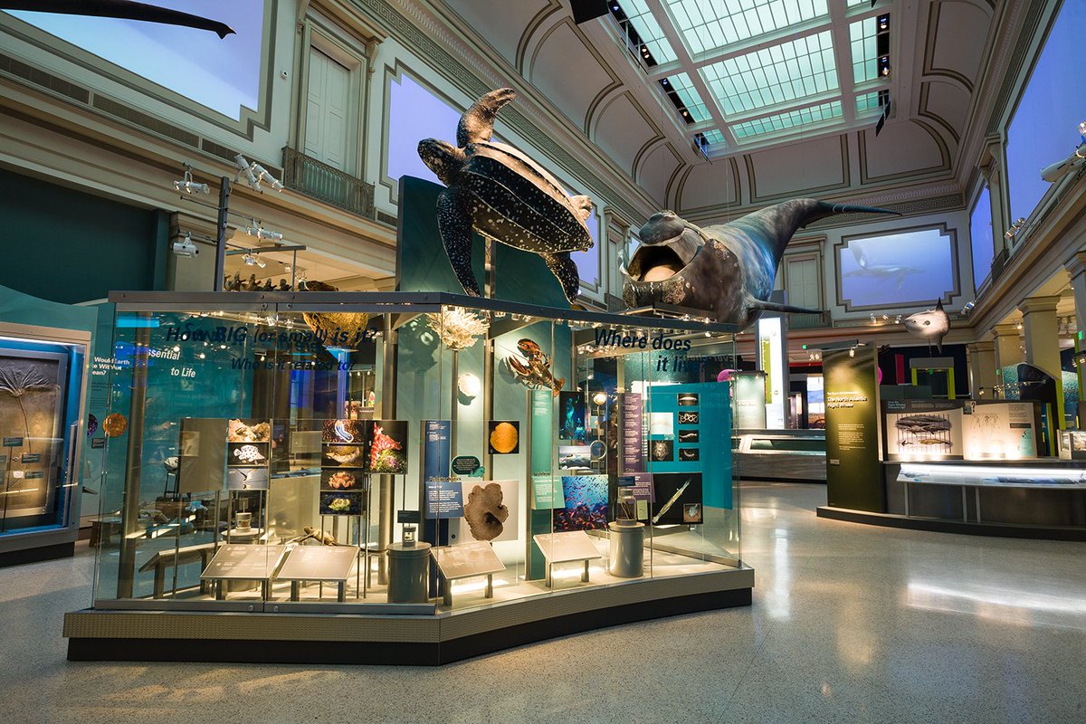 Division of Invertebrate Zoology - SICB