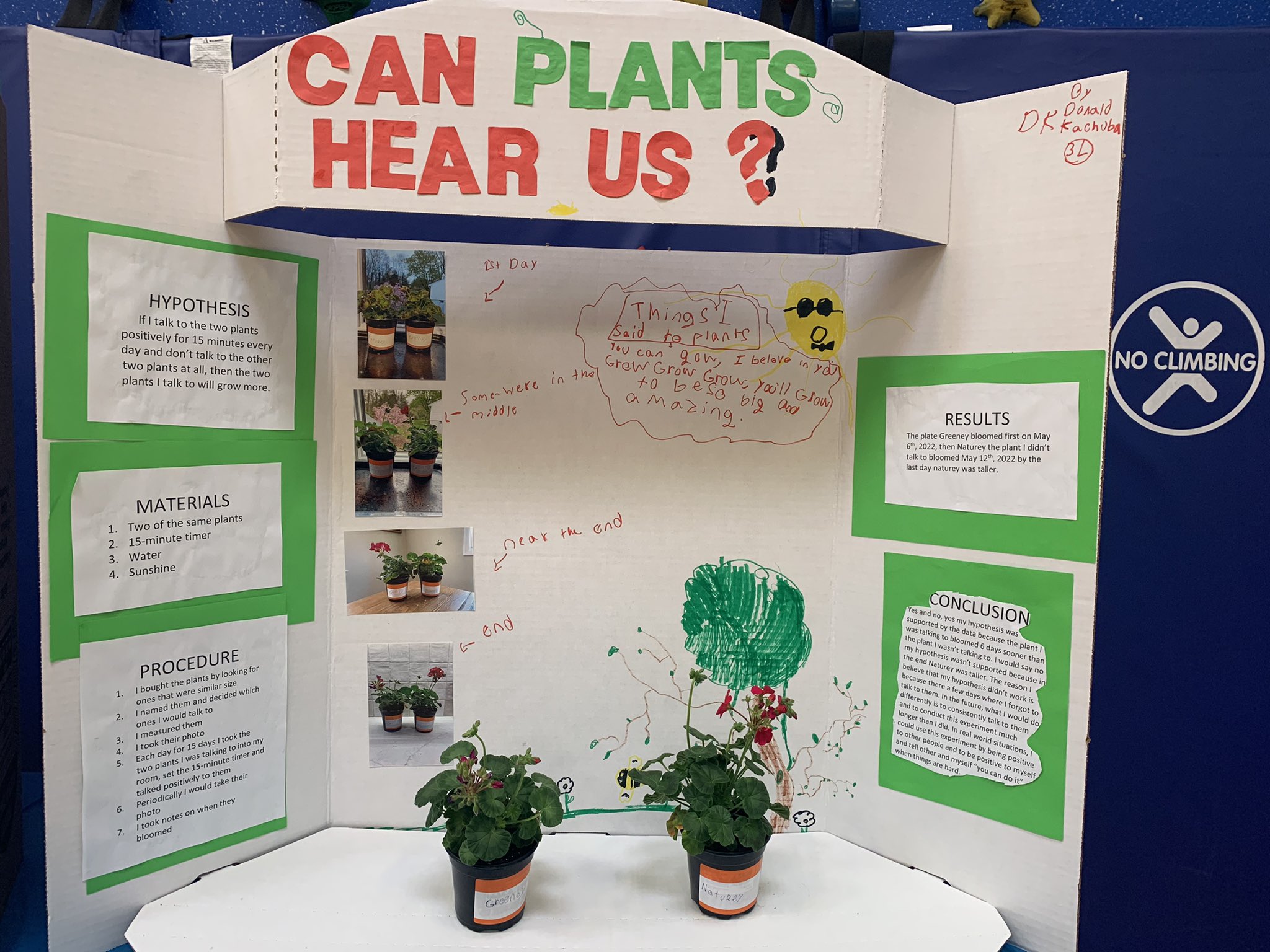 Poster Board Ideas For Science Fair