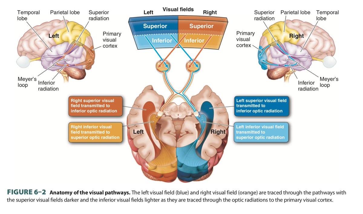Excited to announce that the 2nd edition of Clinical Neurology and ...