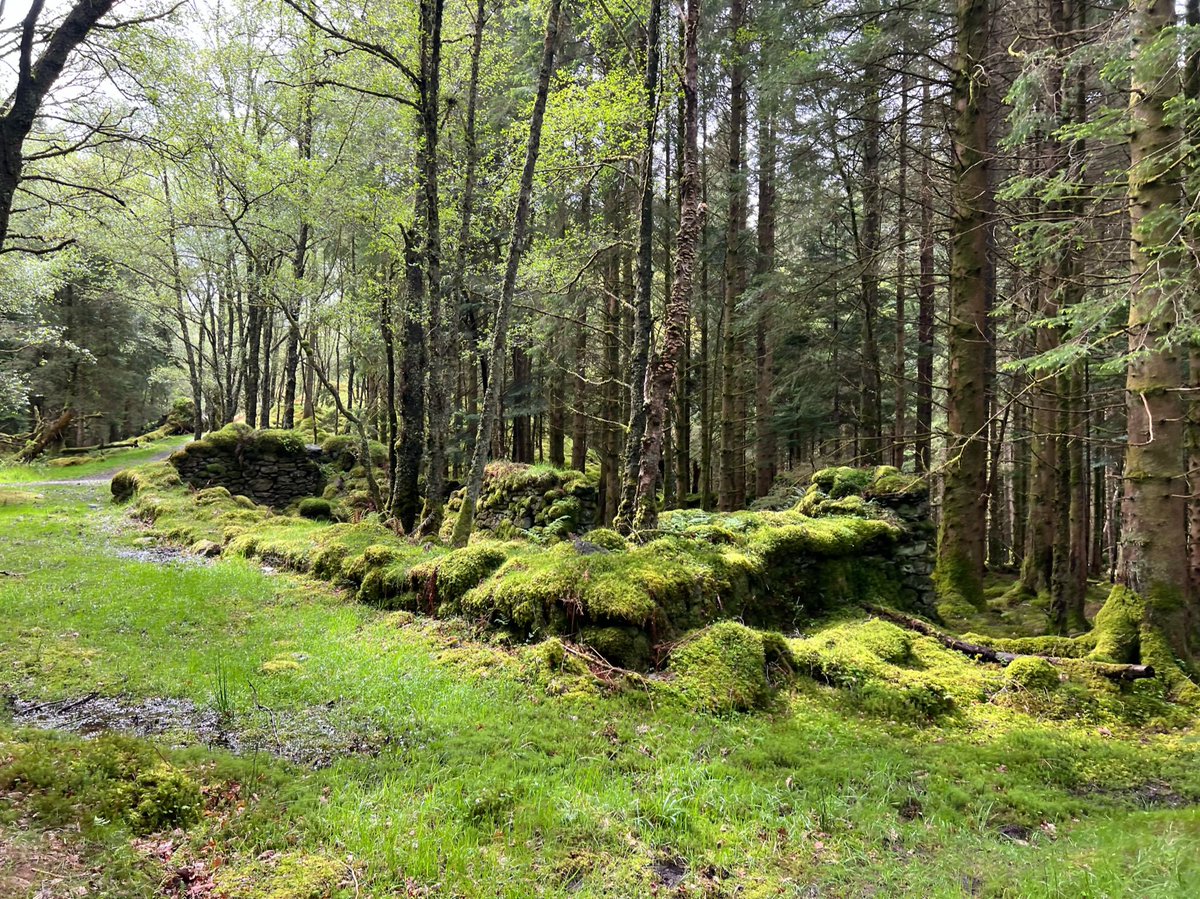 Long live the weeds and the wilderness yet – West Highland Way, Day 3 ...