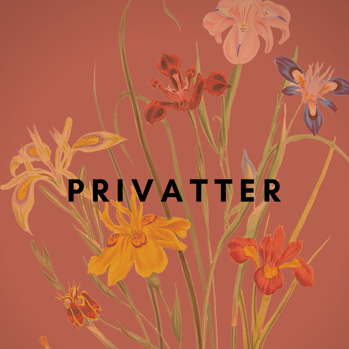 Privatter Links 🔞 / Twitter