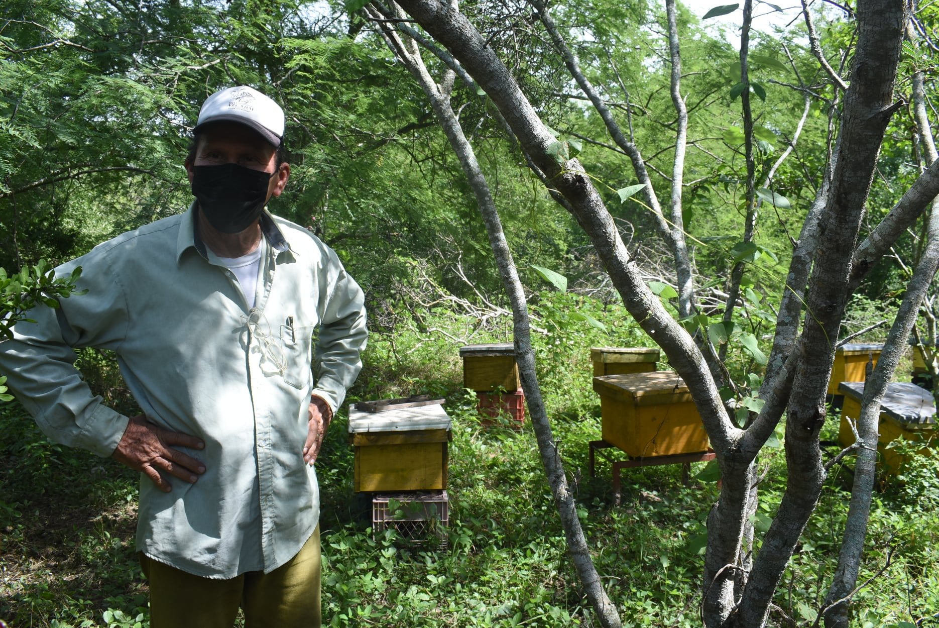 CONANP on Twitter: "A través del Programa de Conservación para el Desarrollo Sostenible # ...