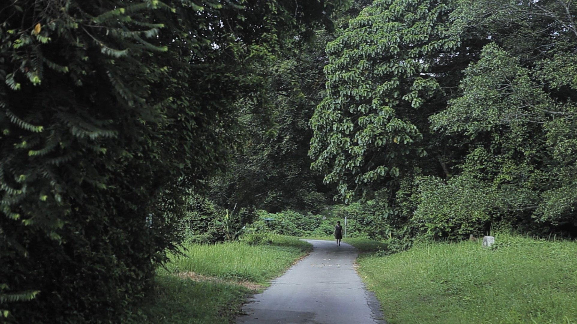 . on Twitter: "nightfall (𝟸𝟶𝟷𝟼) https://t.co/V0K0IcrTOD" / Twitter