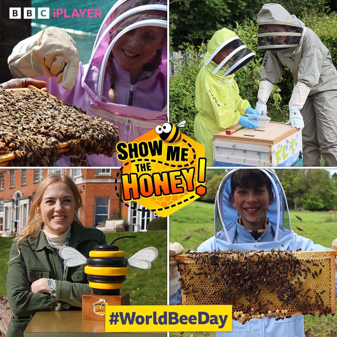 CBeebies Grown-Ups 🎉 on Twitter: "Did you know bees perform a waggle ...