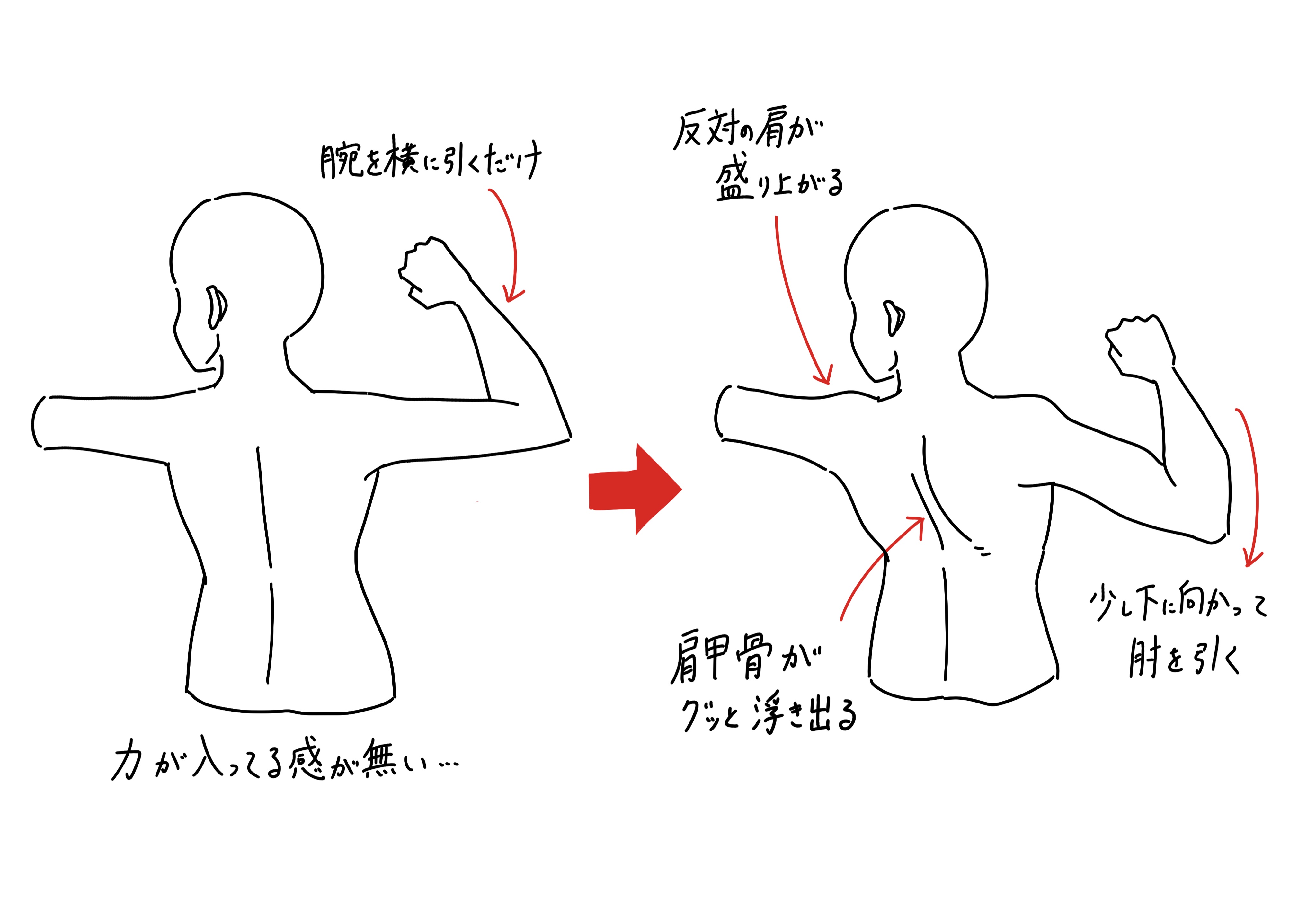 ふるいけ (@start_furuike) / Twitter