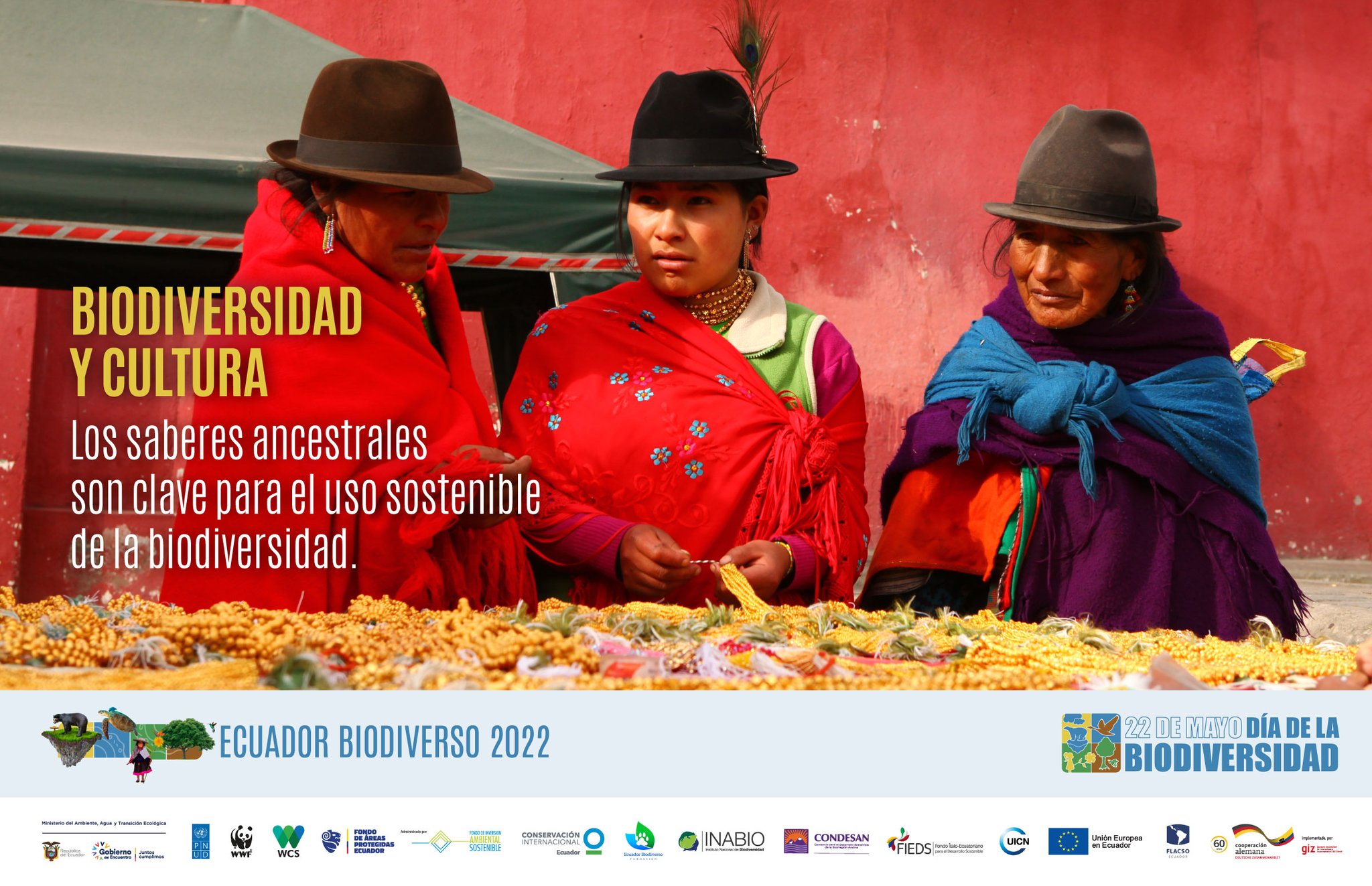 Conservación Internacional Ecuador on Twitter: "¡Somos biodiversidad! Los pueblos y ...