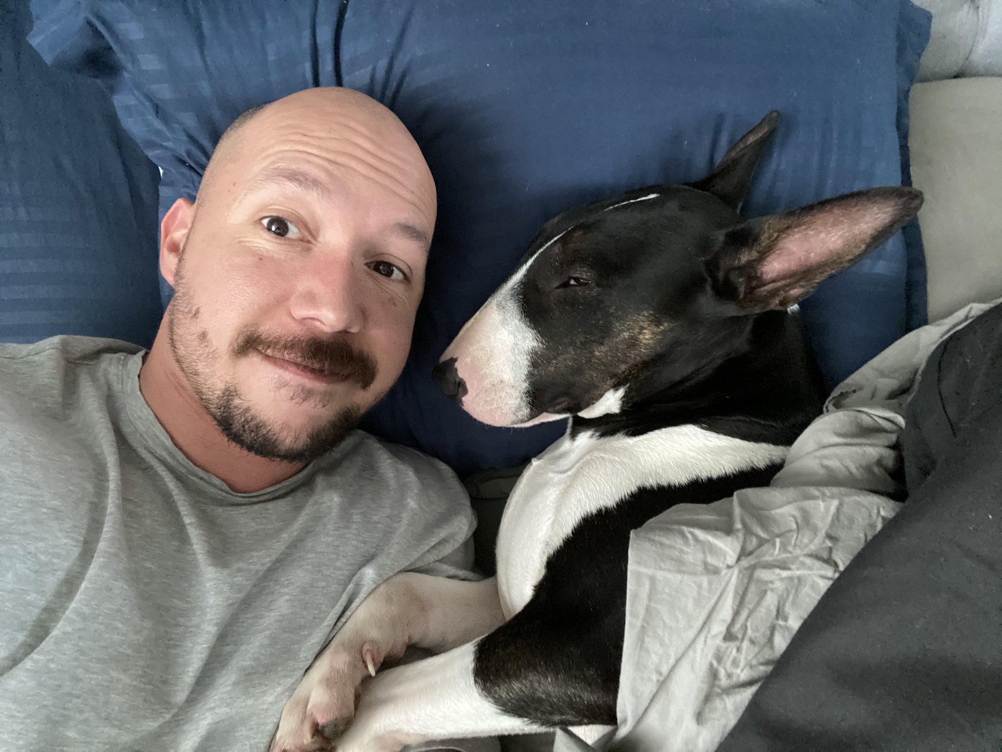 TW Pornstars - E S T E V E Z. Twitter. La foto más linda que van a ver ...