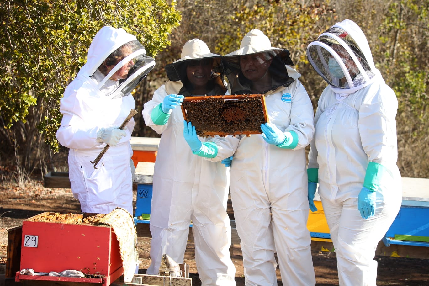 Grisel Monje (@GriselMonje) / Twitter