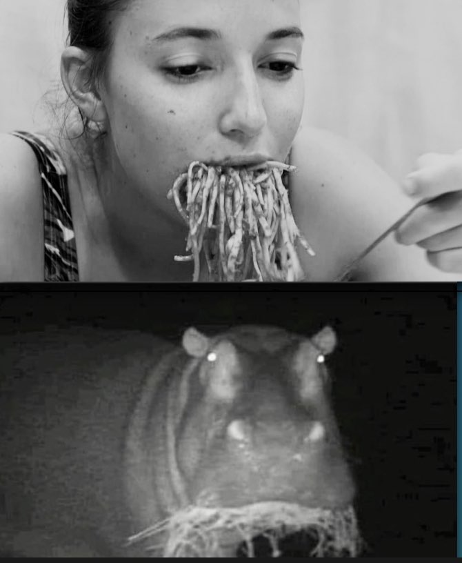 Farrah Lovelace's Instagram, Twitter & Facebook on IDCrawl