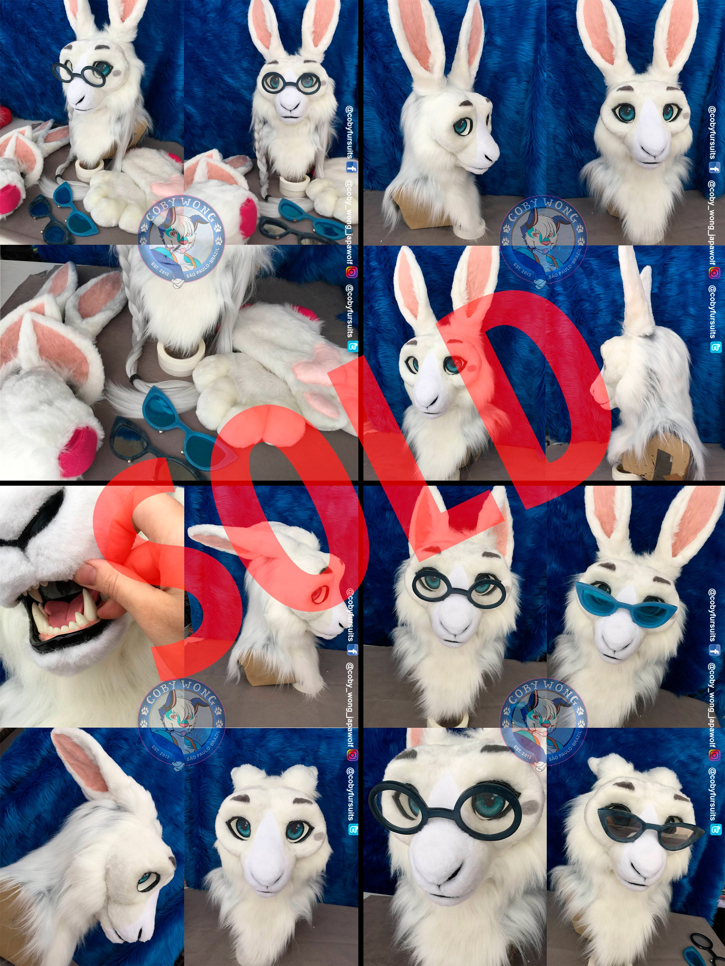 Coby Wong (@cobyfursuits) / Twitter