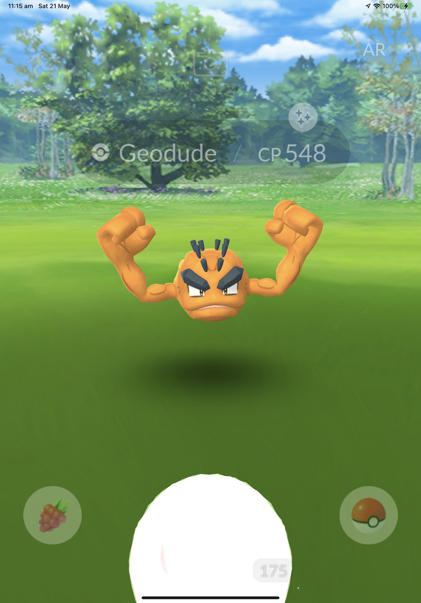 Shiny Geodude Pokemon X