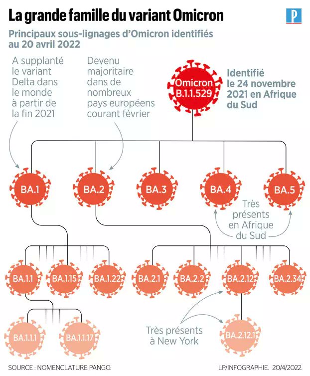 Nicolas Berrod on Twitter: "Or "BA.4 et BA.5 sont génétiquement plus proches de BA.2 que de BA.1 ...