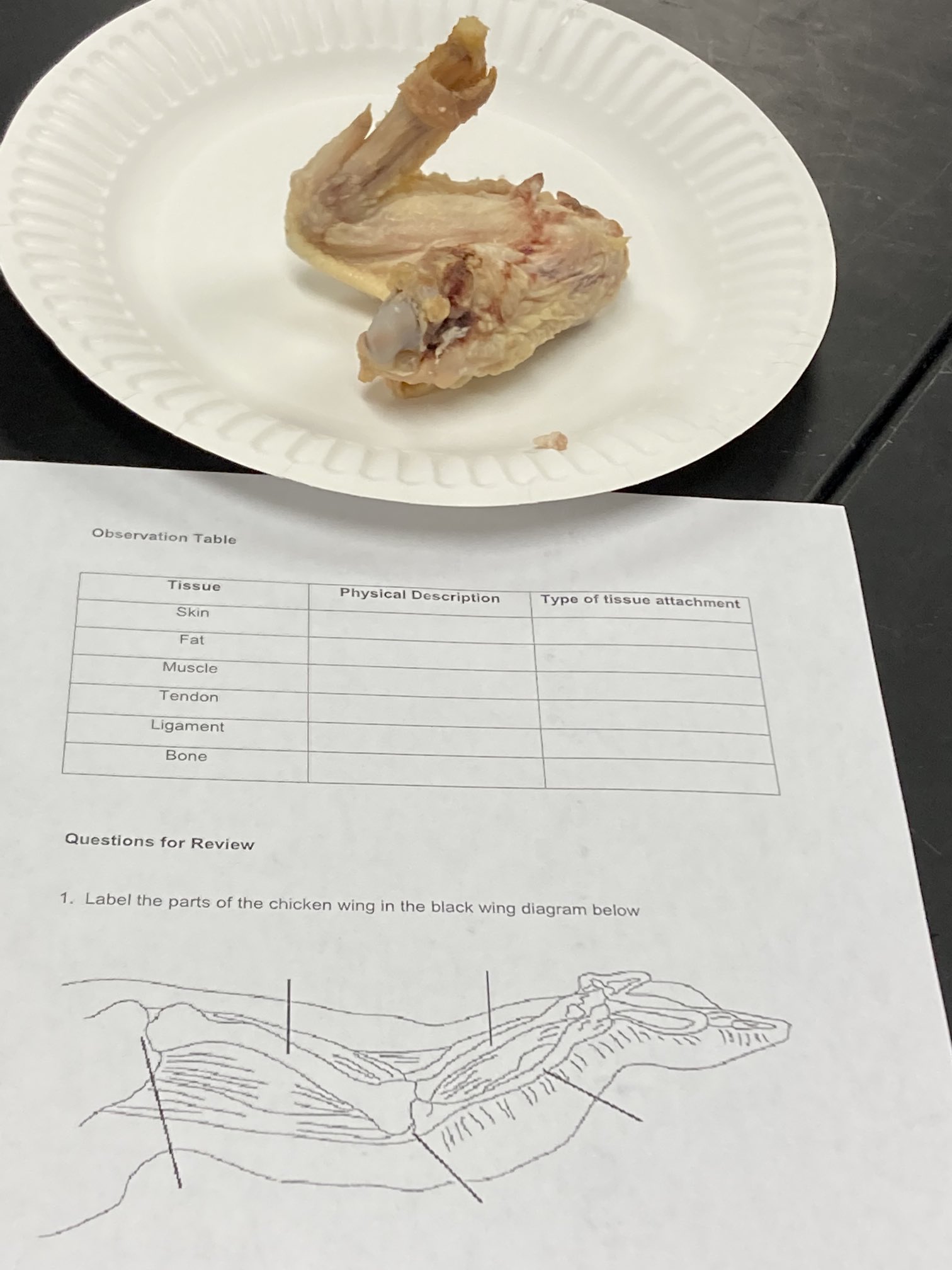 Chicken Wing Dissection Ligament