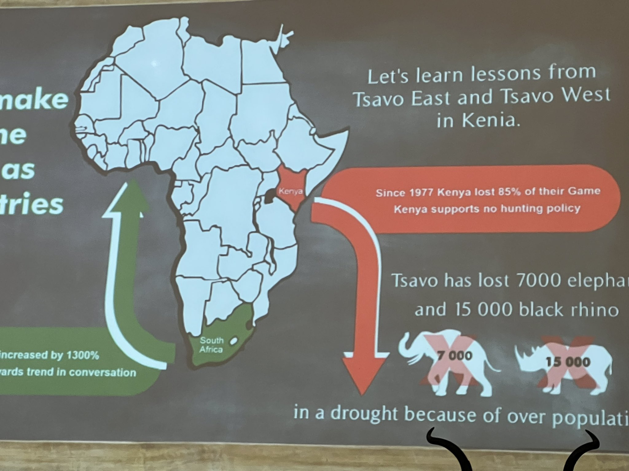 Where Do Zebras Live Map