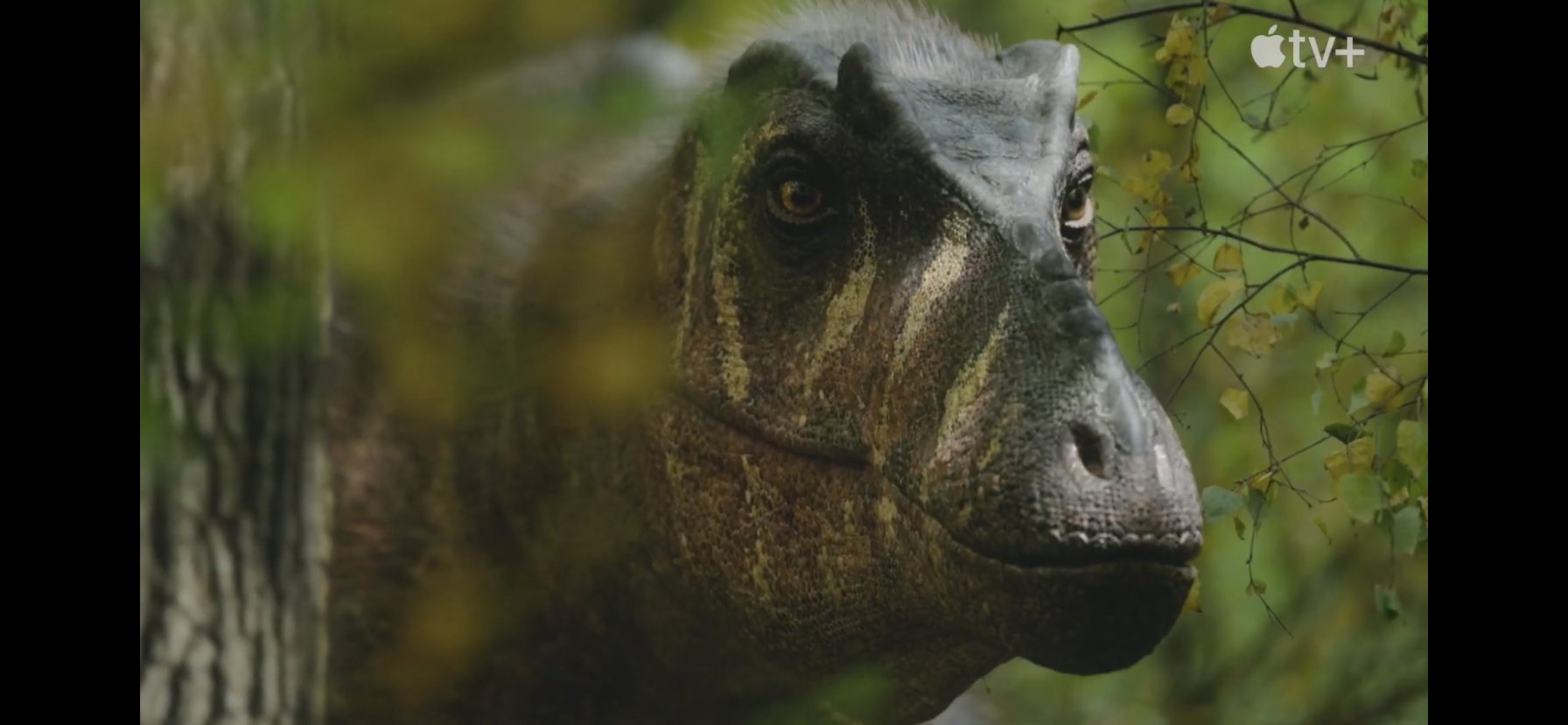 Tangmo Mopet on Twitter: "close up on Qianzhousaurus 👀 #PrehistoricPlanet https://t.co ...