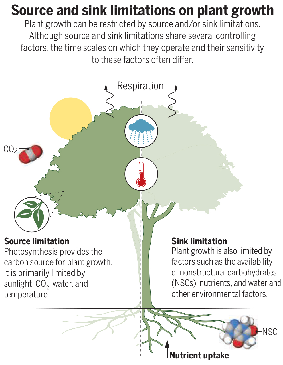 Science Magazine on Twitter: "New research in Science illustrates the ...