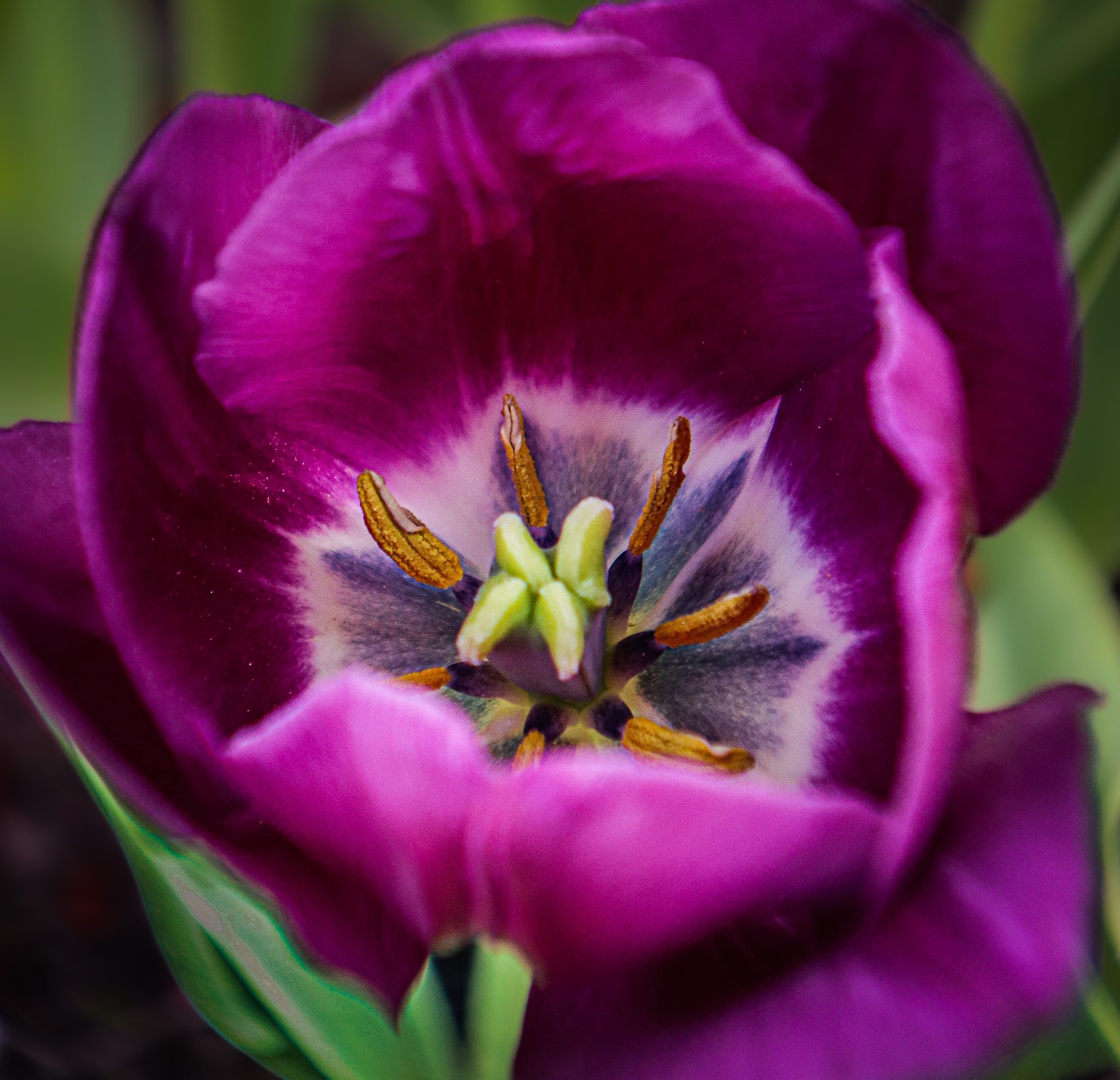 admiredart-on-twitter-ginamosherphoto-wow-brilliant-shot-twitter