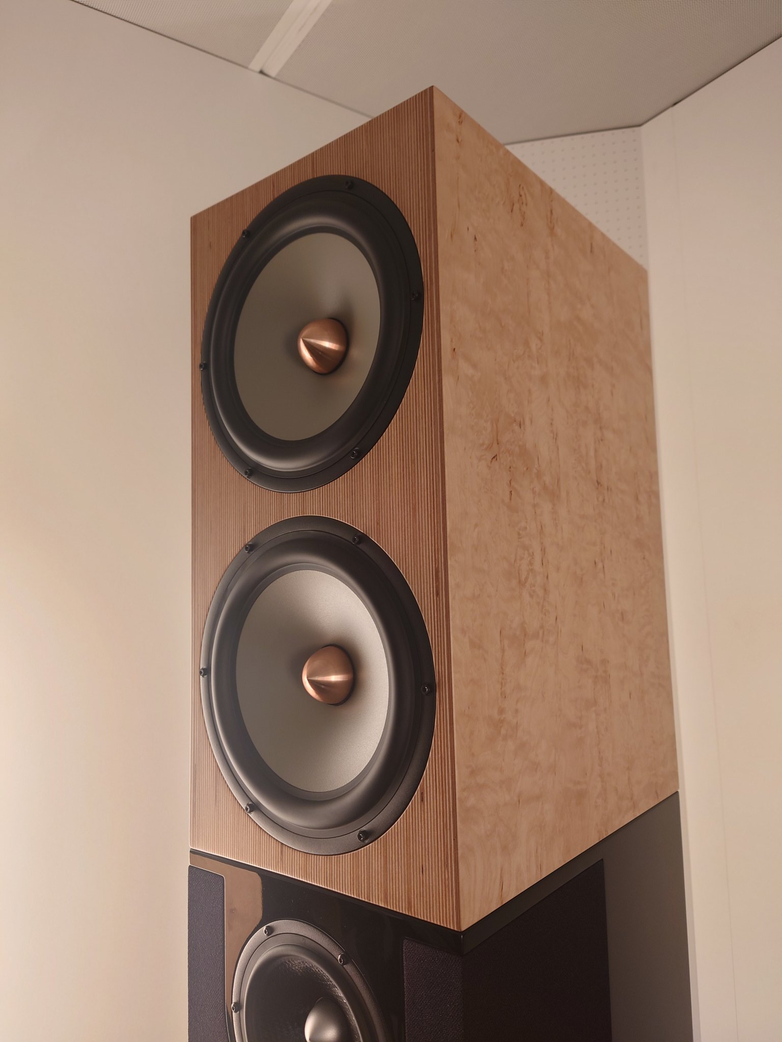 avcat على تويتر: "https://t.co/peaRcrLQPN" / Twitter