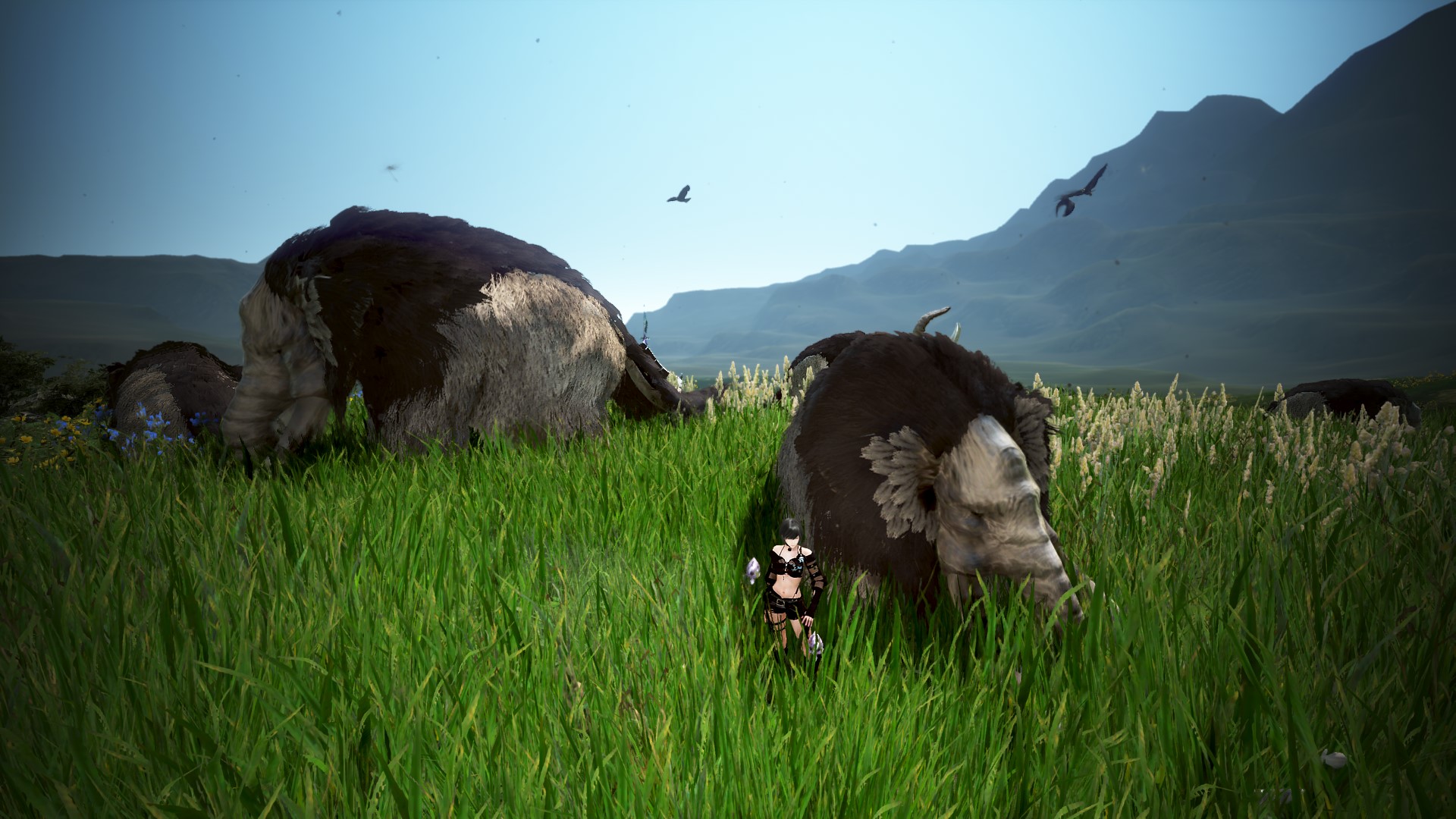 Chainon on Twitter: "(´･ω･`) https://t.co/w7YOhTcCGe" / Twitter