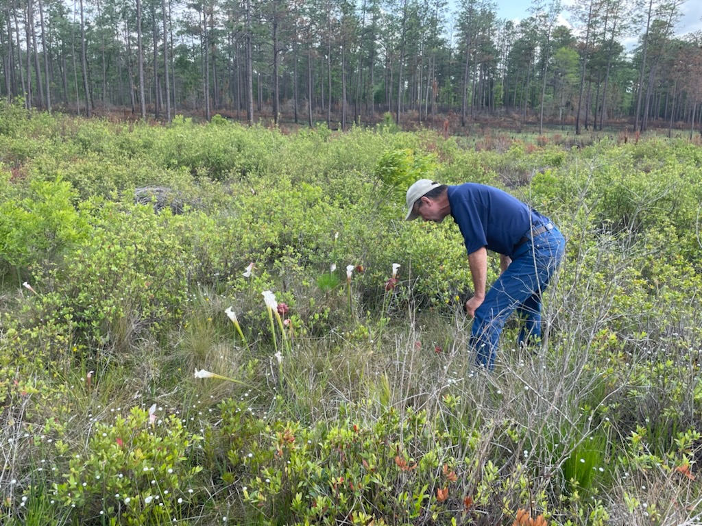 Alabama Natural Heritage Program