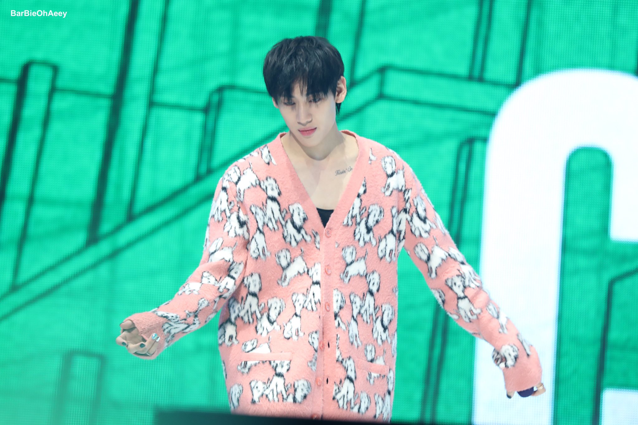 BAMBAMCLOTHES on X BAMBAM CELINE Artist Jacquard Cardigan in Brushed Cotton Bright Pink 1 950 GOT7 HomecomingDay2 BAMBAMCLOTHES https t ERK5oALZTb X