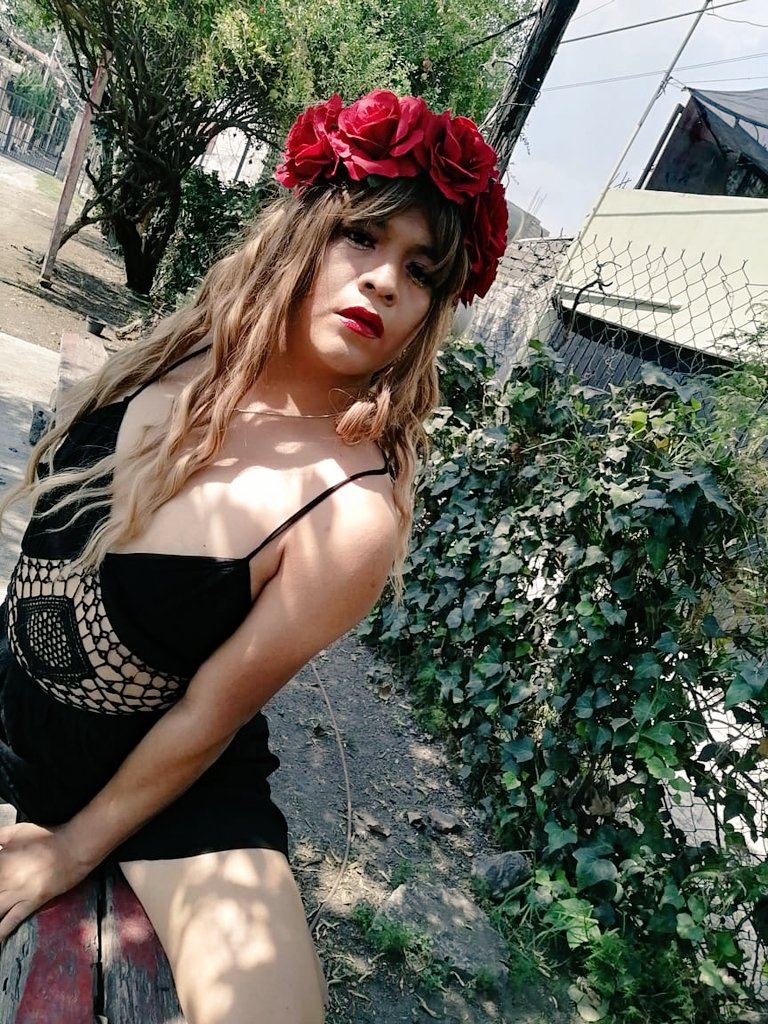 Renata Tolmer Travesti (de closet 🇲🇽🏳️‍🌈) on Twitter: "https://t.co/qZKUUl0B0T" / Twitter