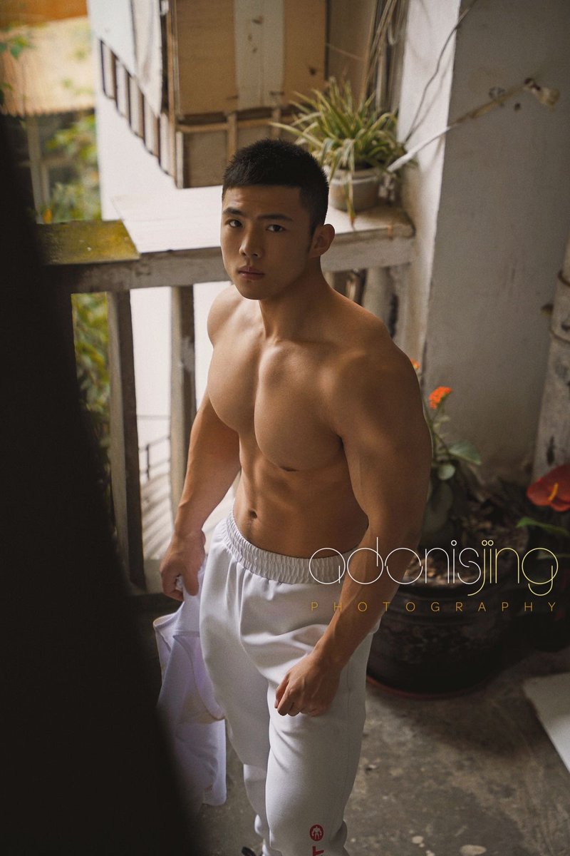 adonisjing @adonisjing2020 Timeline, The Visualized Twitter (Analytics)