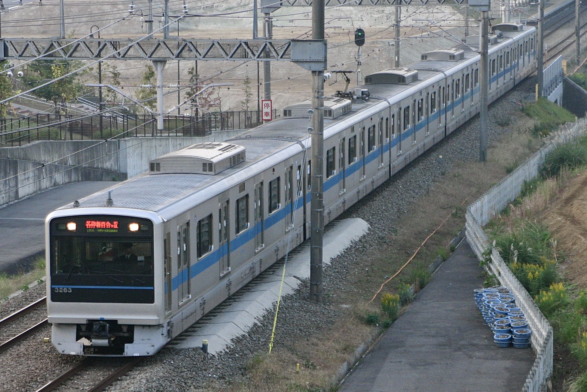 ワタシダ【Odapediaの中の人】 on Twitter: "黎明期のデジカメで高感度設定を使うと、かなり画質が荒れていました。 でも、いつ ...