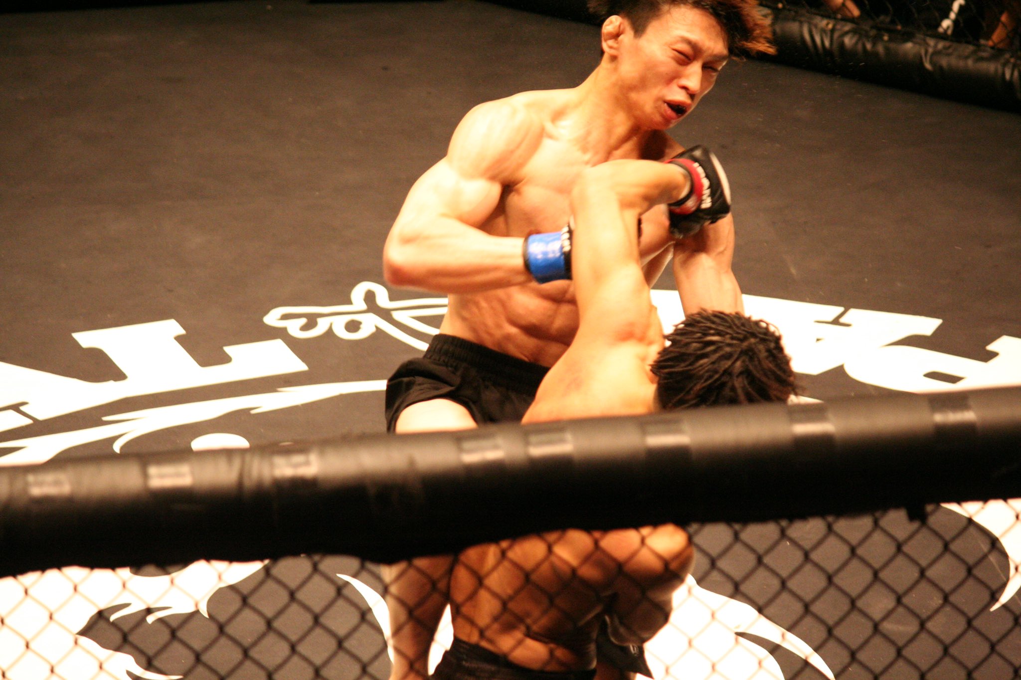 THE 1 TV on Twitter: "【試合速報】 大竹 陽 vs 須藤晃大 2R TKO大竹選手勝利 #shooto0522 #ザワン https://t.co/XnNGJC5Xx8 ...