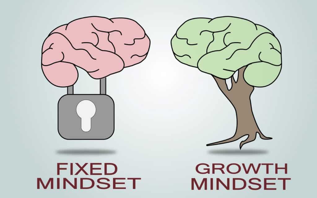 Do you have a Growth Mindset (GM) or a Fixed Mindset (FM)? THREAD 👇🧵 ...