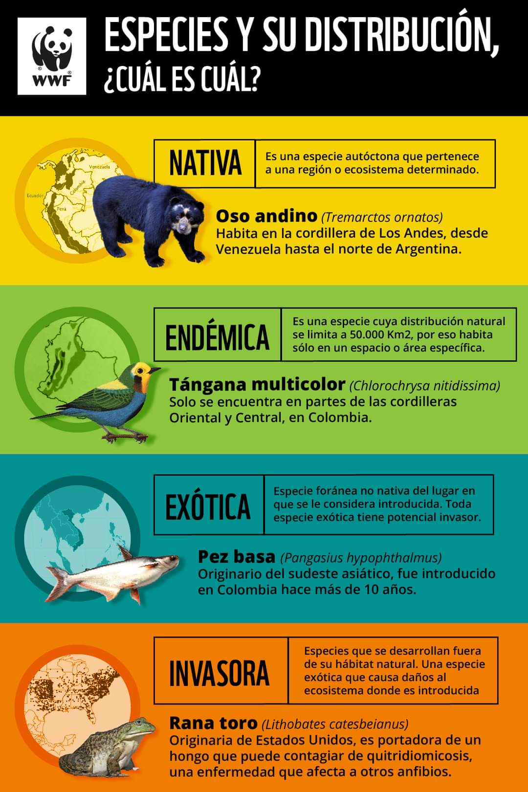 Endémicas Concepto En Riesgo De Extinción, 95% De Aves Endémicas De