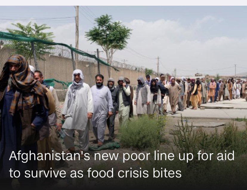 Iuliia Mendel on Twitter: "OMG! I remember this crisis last summer, Ukraine tried to help locals ...